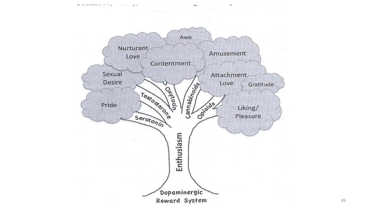 The Happiness Tree | TIMnovate